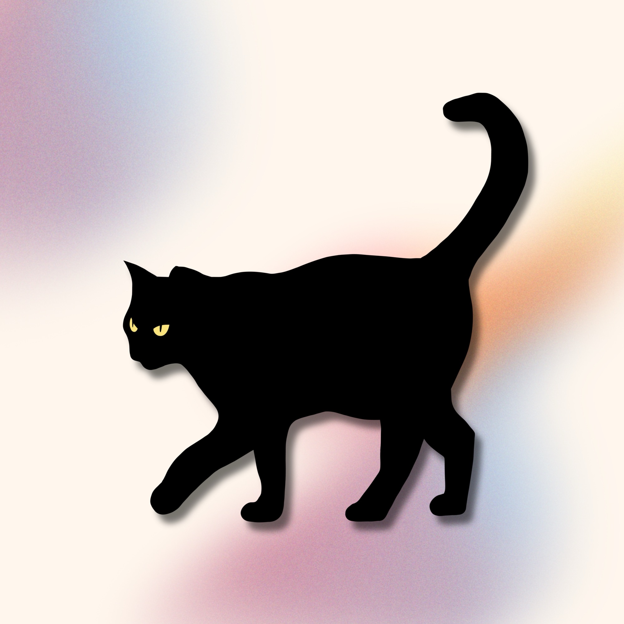 What I Noticed: Black Cat – Project Mellow: Signs from Nature